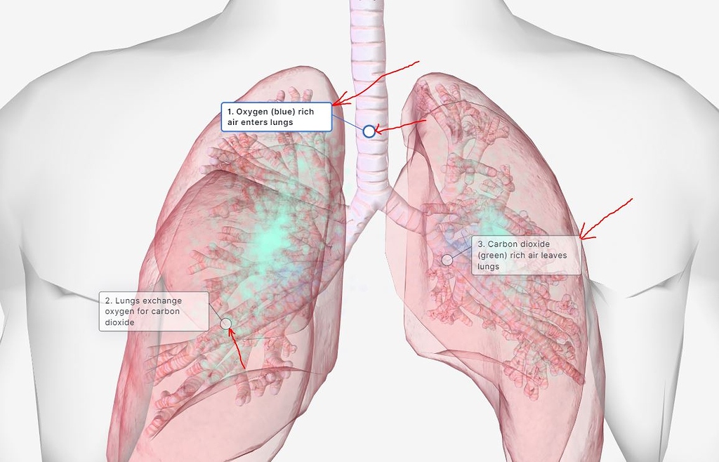 How to create indicators or annotations? - Logic Nodes - Armory 3D
